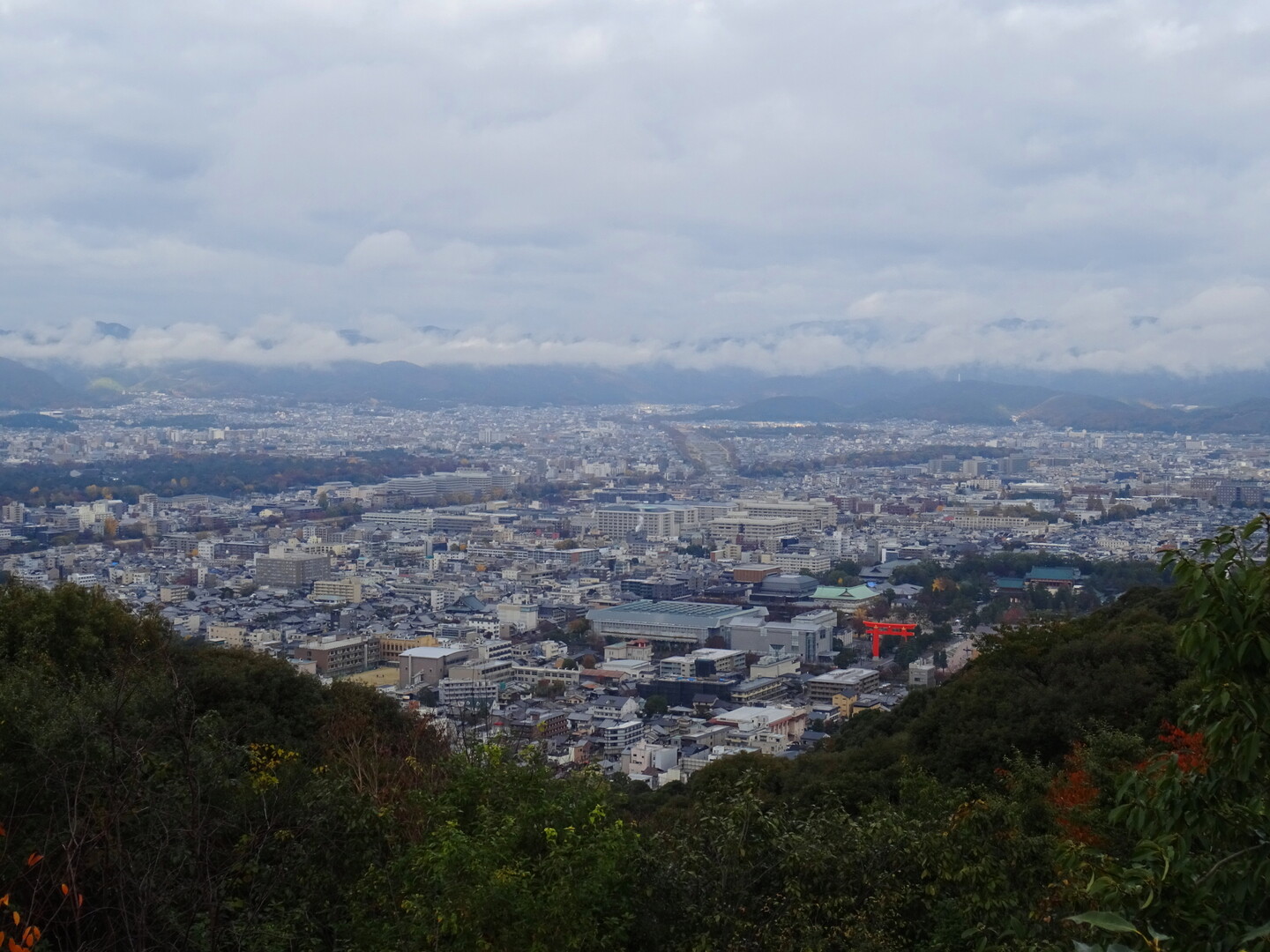 京都紅葉 / nm25さんの京都市の活動データ | YAMAP / ヤマップ