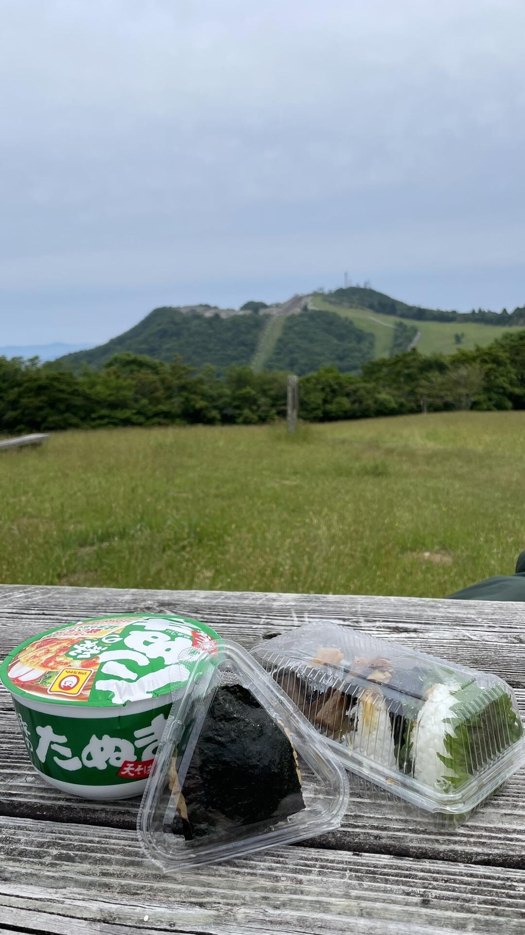 茶臼山 2023-06-18 / pickji28さんの茶臼山・萩太郎山の活動データ | YAMAP / ヤマップ