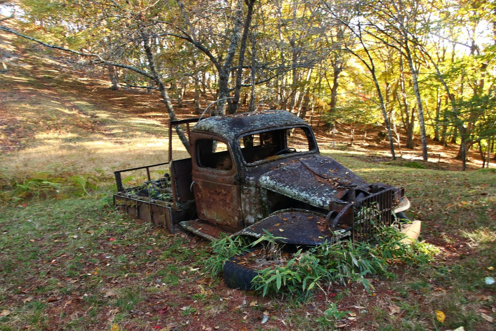 廃トラック見学ツアー！ / KOH-Chanさんの和名倉山・笠取山・東仙波の活動データ | YAMAP / ヤマップ