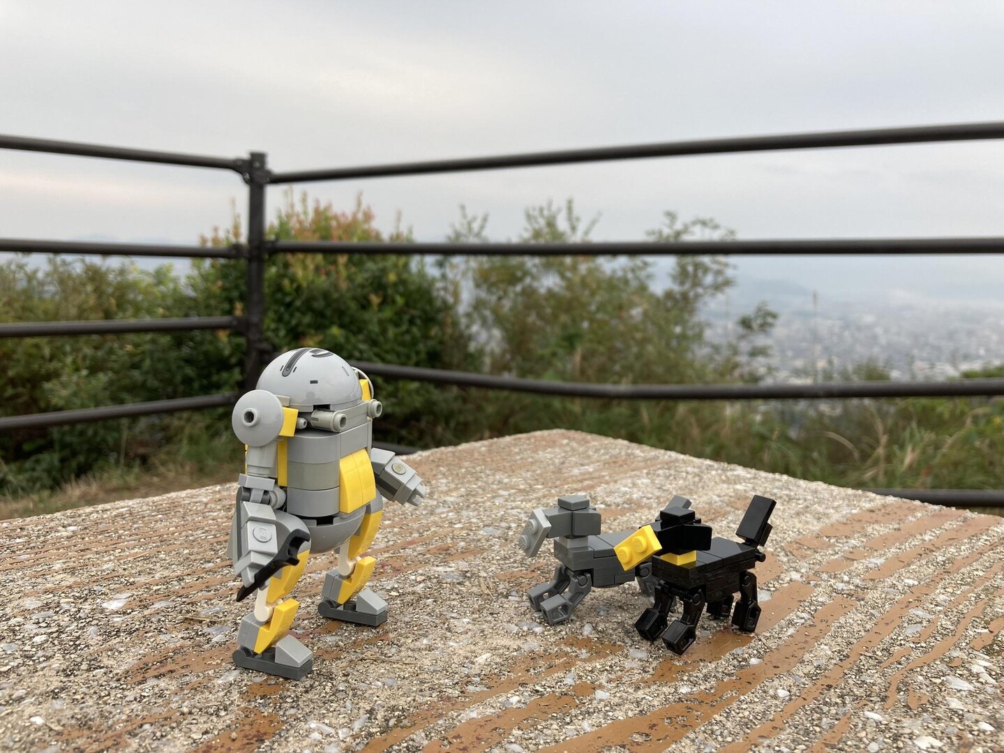 井野山 / Suyamaさんの井野山の活動データ | YAMAP / ヤマップ