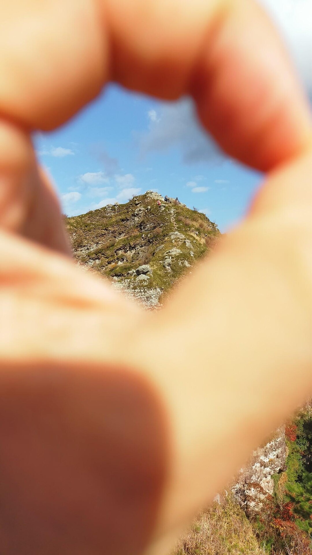 修行の山 / ryo_kenさんのハイキングの活動データ | YAMAP / ヤマップ