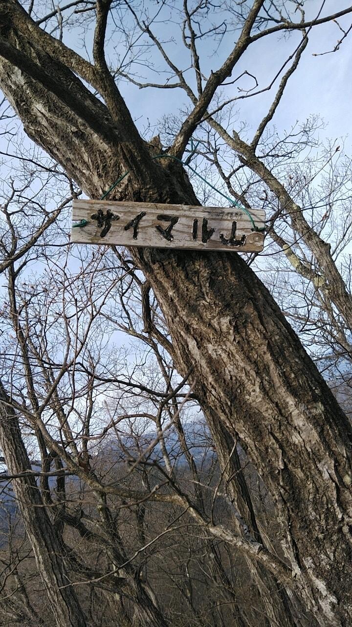 サイマル山・高取山・焼室山・高岩・大タビ山 / Inspireさんの倉岳山・高畑山・九鬼山の活動日記 | YAMAP / ヤマップ
