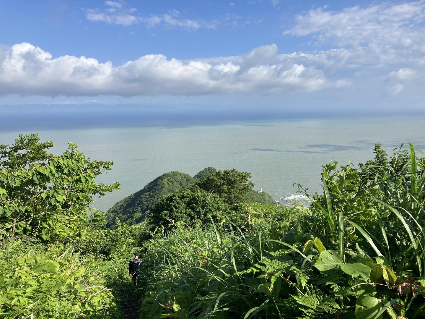 灯台コース-2023-06-04 / ERさんのウォーキングの活動データ | YAMAP / ヤマップ