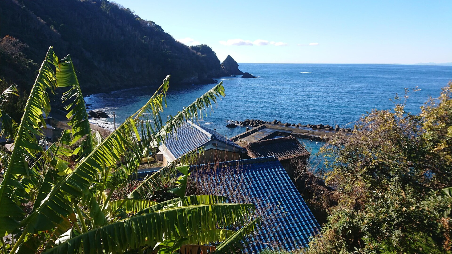 西伊豆海岸線トレイル / Aldeanoさんの西伊豆 E-BIKEの活動データ | YAMAP / ヤマップ
