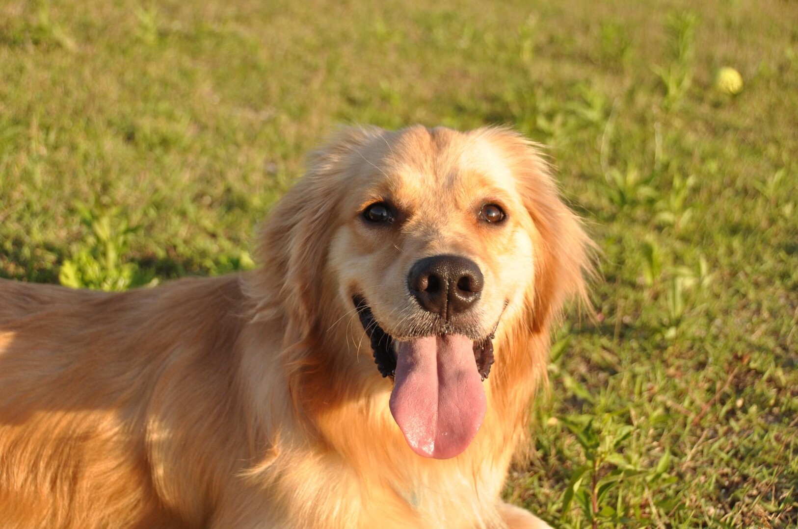 marupaのページ | YAMAP / ヤマップ