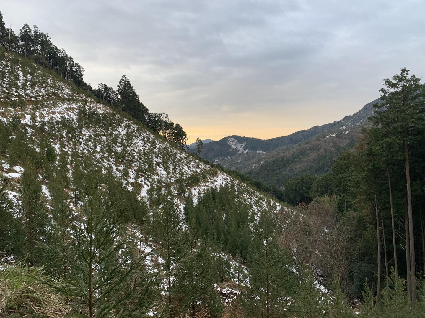 イブの山歩③ 古吉山 / koma_xさんの東鳳翩山・西鳳翩山・鴻ノ峰の活動データ | YAMAP / ヤマップ