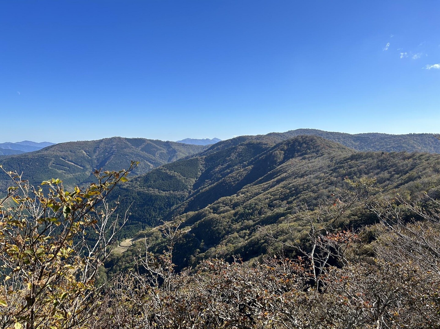 初‼️白鳥山・時雨岳⛰️ / masapi-さんの岩宇土山・白鳥山・銚子笠の活動データ | YAMAP / ヤマップ
