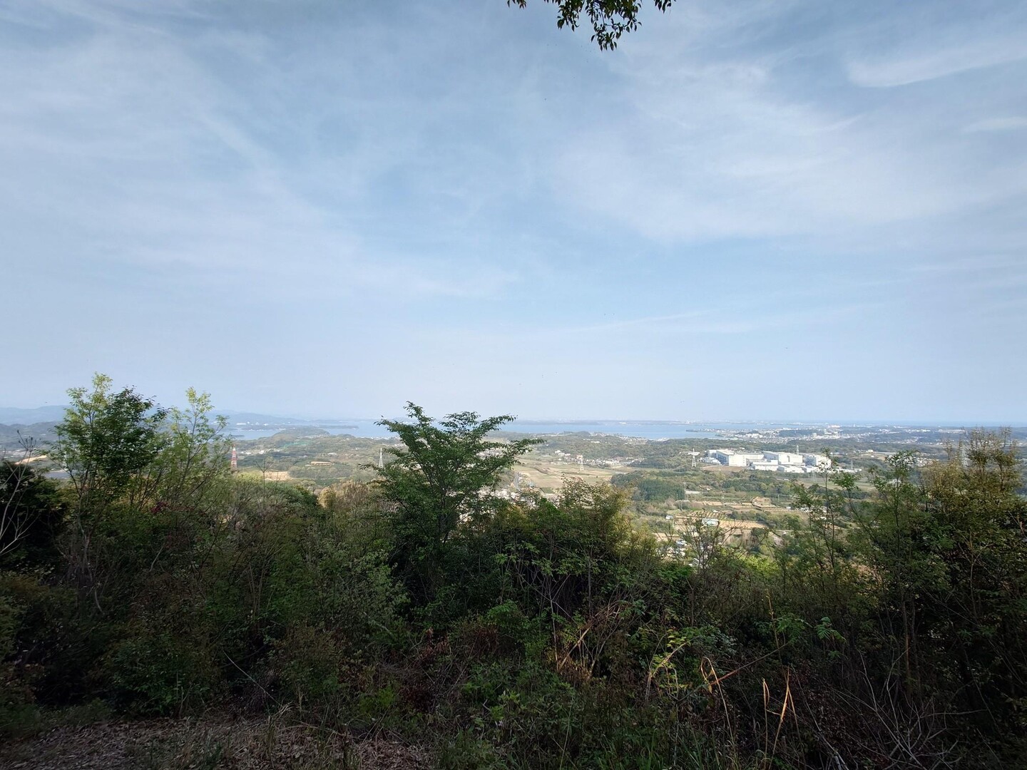 嵩山 / yagarinさんの坊ヶ峰・石巻山・神石山・葦毛湿原の活動データ | YAMAP / ヤマップ