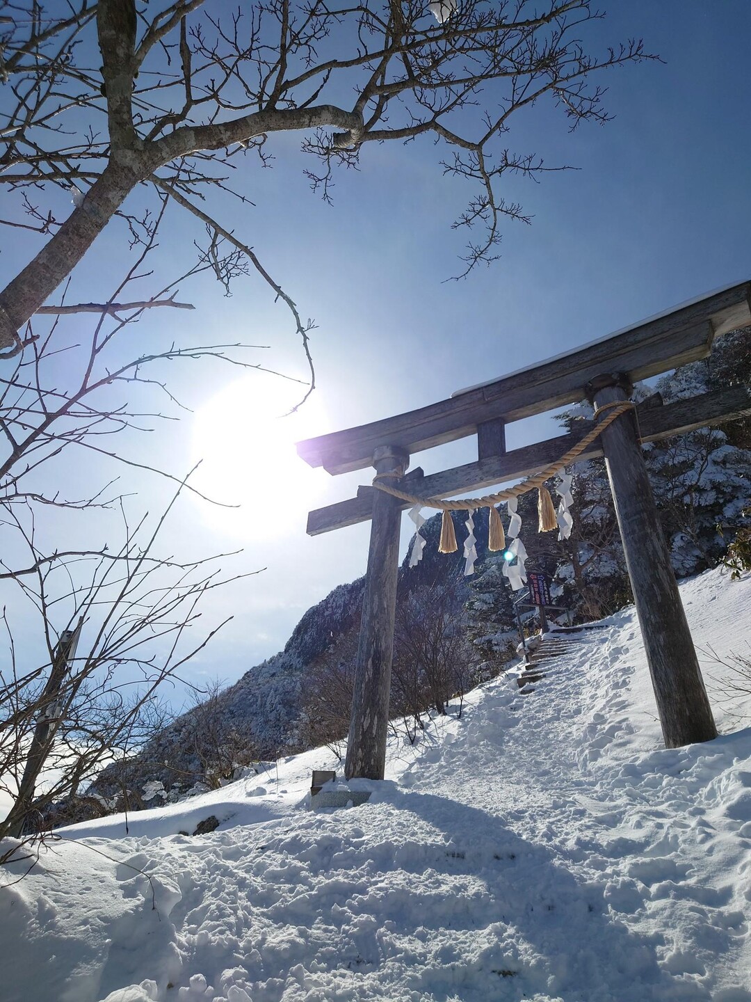 前社ヶ森・剣山・石鎚山 / Richさんの石鎚山・堂ヶ森・二ノ森の活動データ | YAMAP / ヤマップ