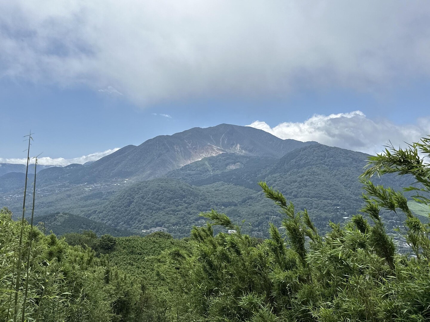 火打石山988m / マ－坊さんのウォーキングの活動データ | YAMAP / ヤマップ