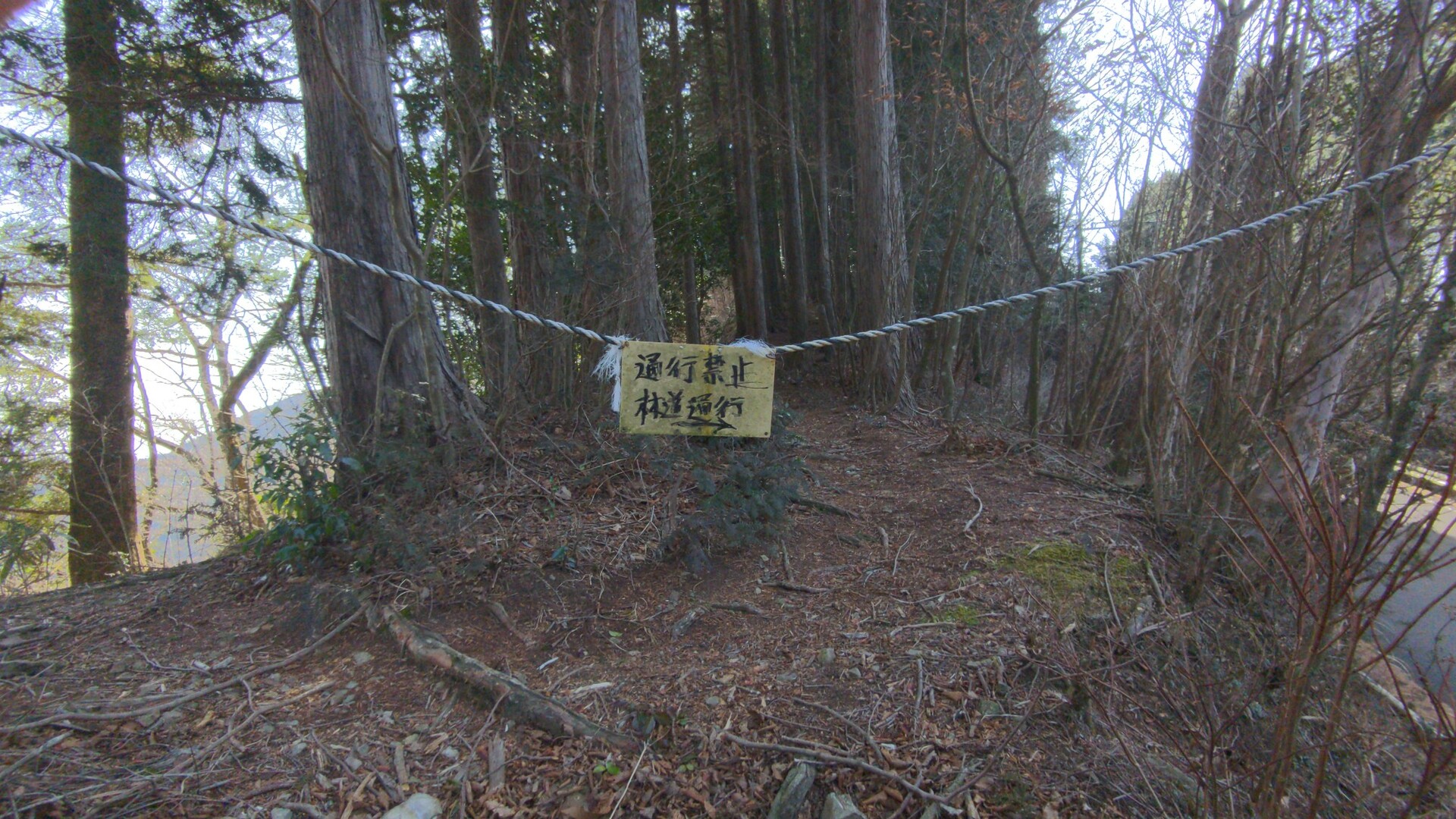 Atsushiさんの投稿したフィールドメモ | YAMAP / ヤマップ