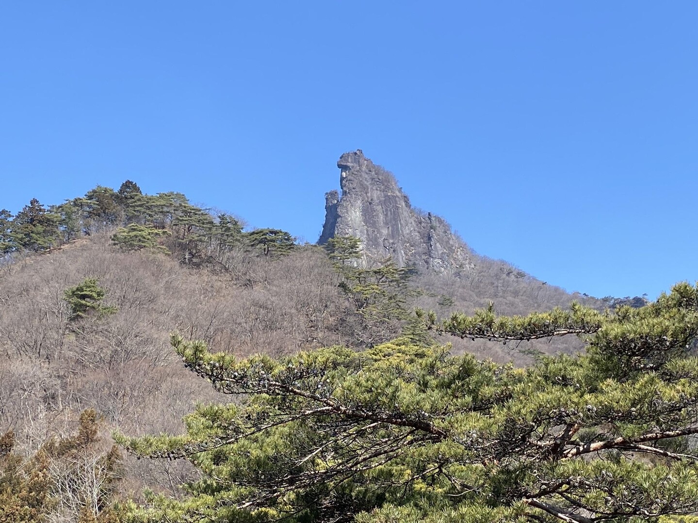 子持山 / rabuさんの子持山の活動データ | YAMAP / ヤマップ
