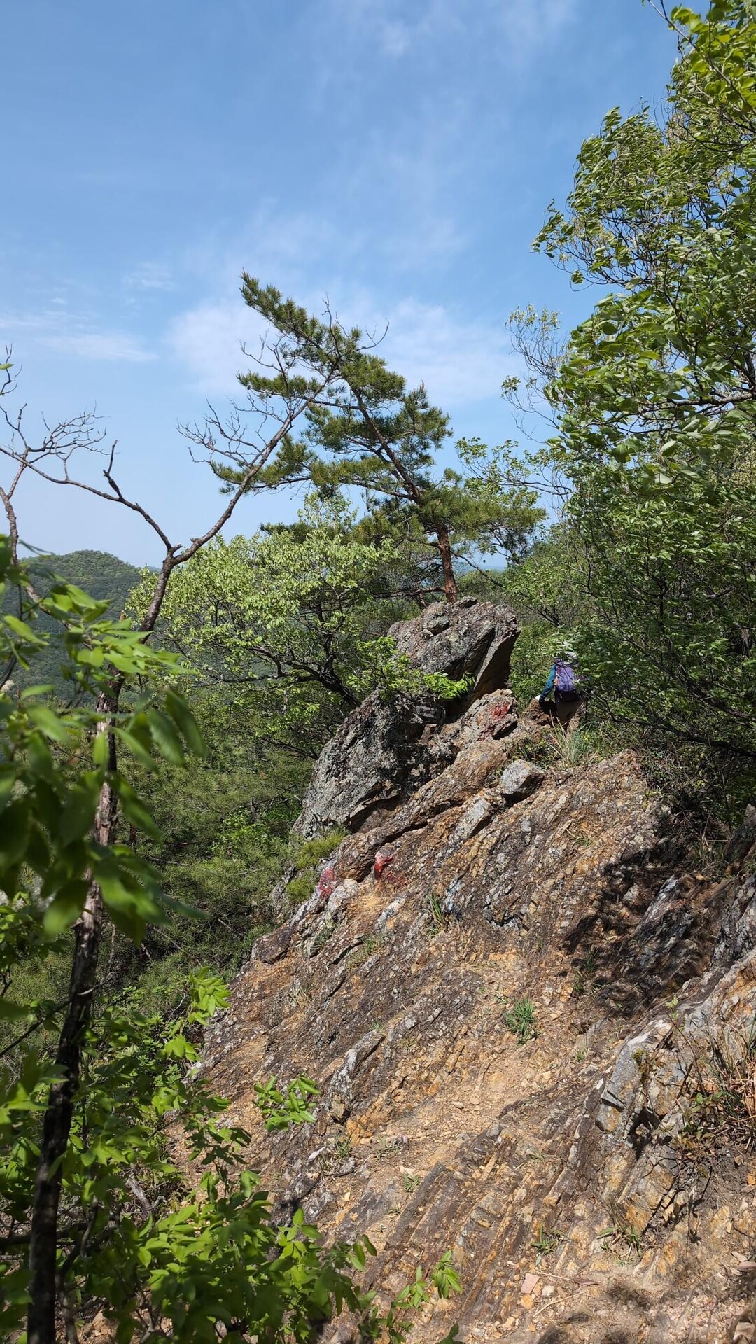 Motoさんの投稿したフィールドメモ | YAMAP / ヤマップ