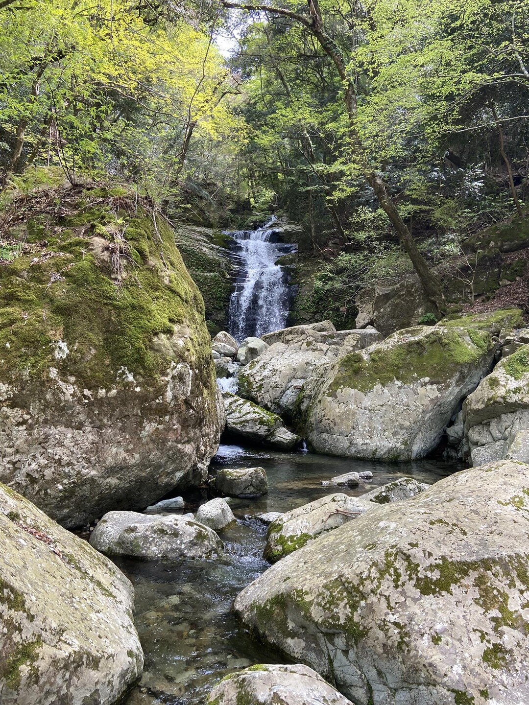 祖母山 / Michiyoさんの祖母山の活動データ | YAMAP / ヤマップ