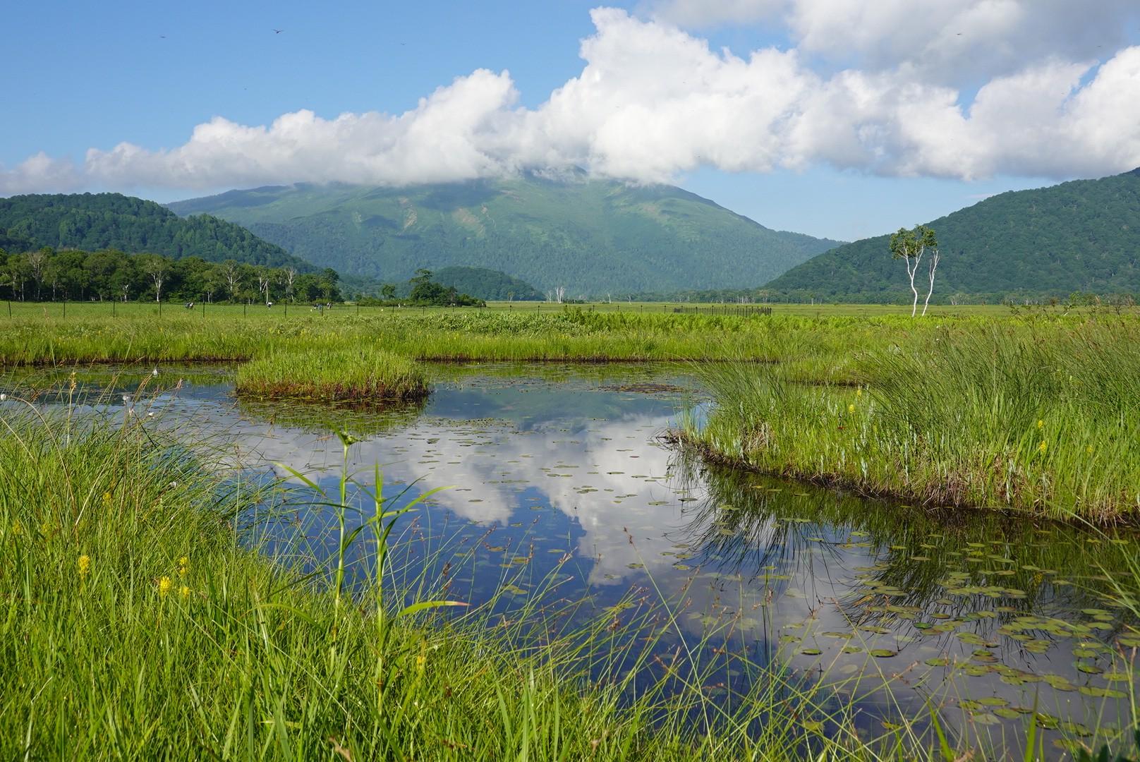 【サクッと尾瀬ヶ原⑤】いざ至仏山へ 爽や... / 𝚊𝚔𝚒𝚋𝚊𝚔𝚘.𝚓𝚞𝚗さんのモーメント | YAMAP / ヤマップ