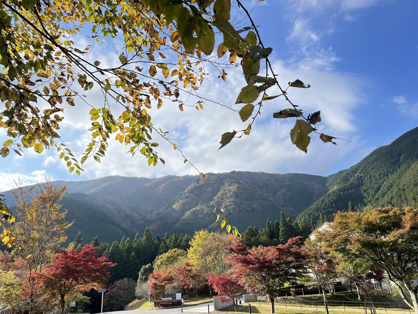 天子ヶ岳179・長者ヶ岳233・天狗岳88 / だいすけさんの長者ヶ岳・天子ヶ岳の活動データ | YAMAP / ヤマップ