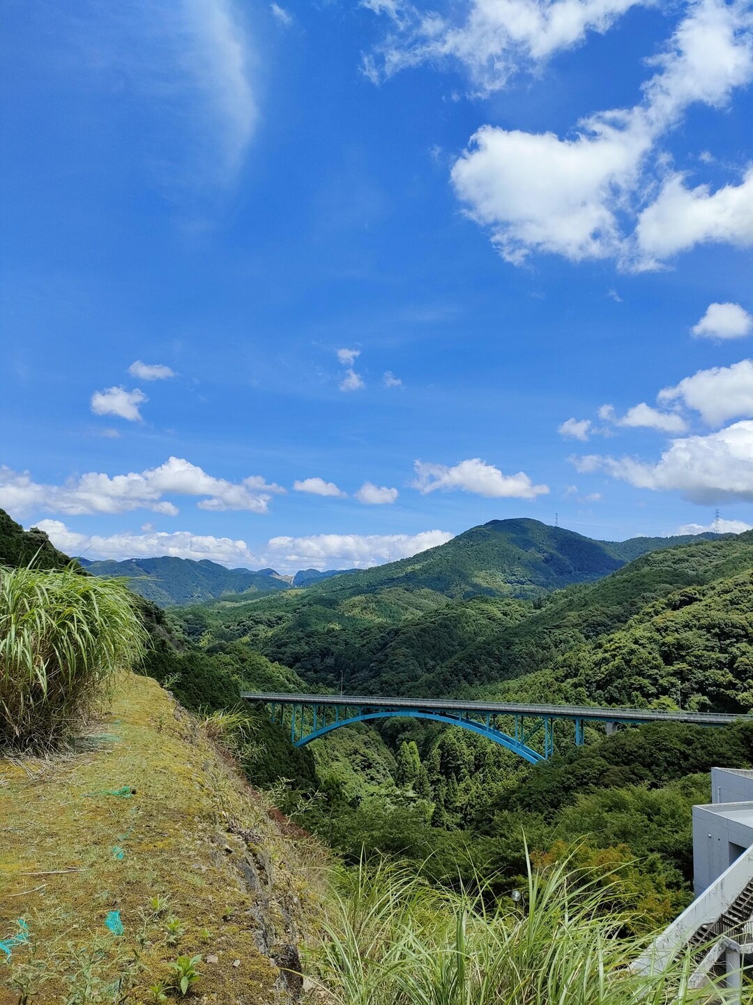 犬鳴ダム周辺🏳‍🌈12座と七夕編🎋👸 / sol..さんの犬鳴山・西山（鮎坂山）の活動データ | YAMAP / ヤマップ