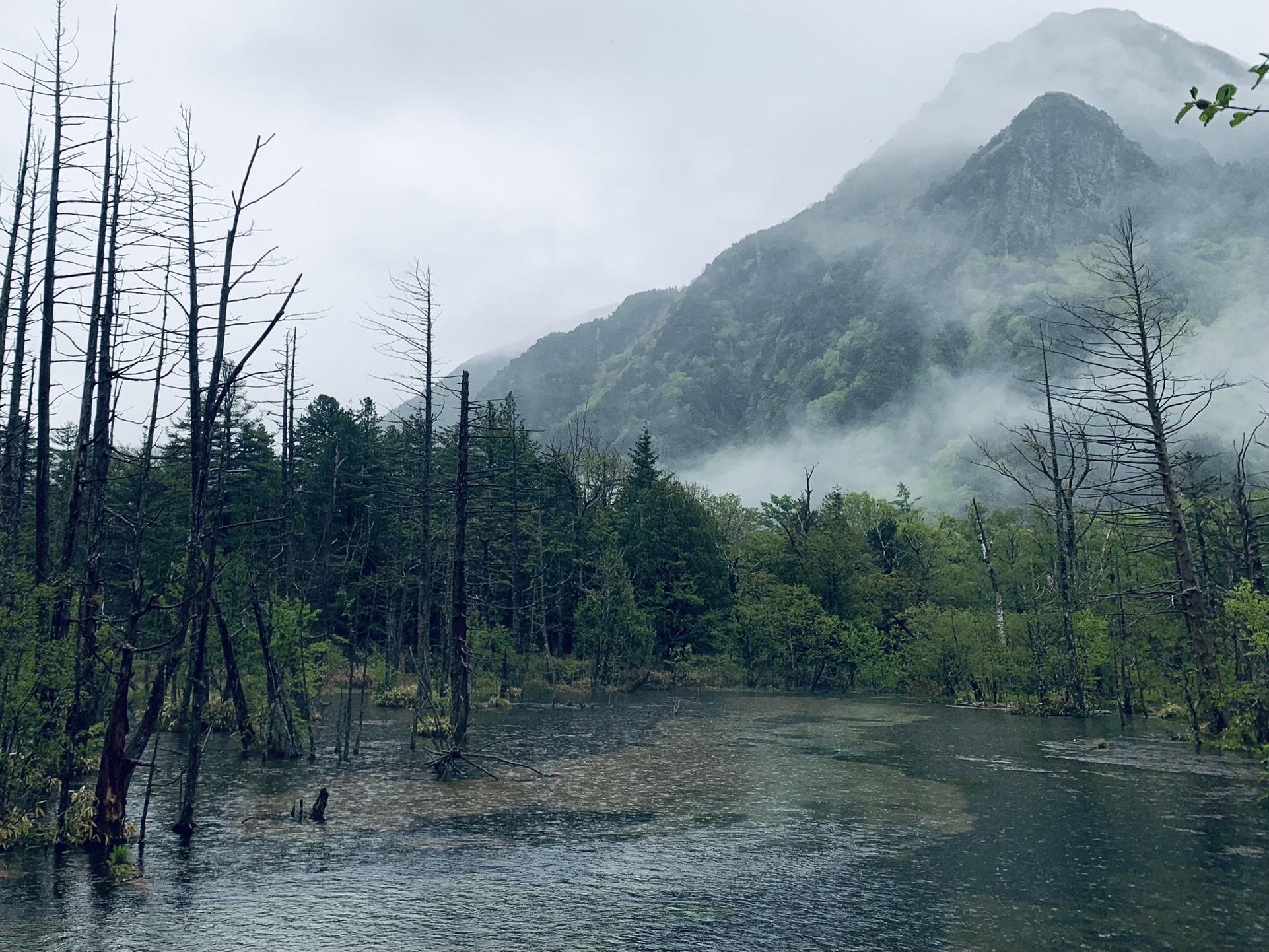 202306上高地散歩 / こがねさんの槍ヶ岳・穂高岳・上高地の活動データ | YAMAP / ヤマップ