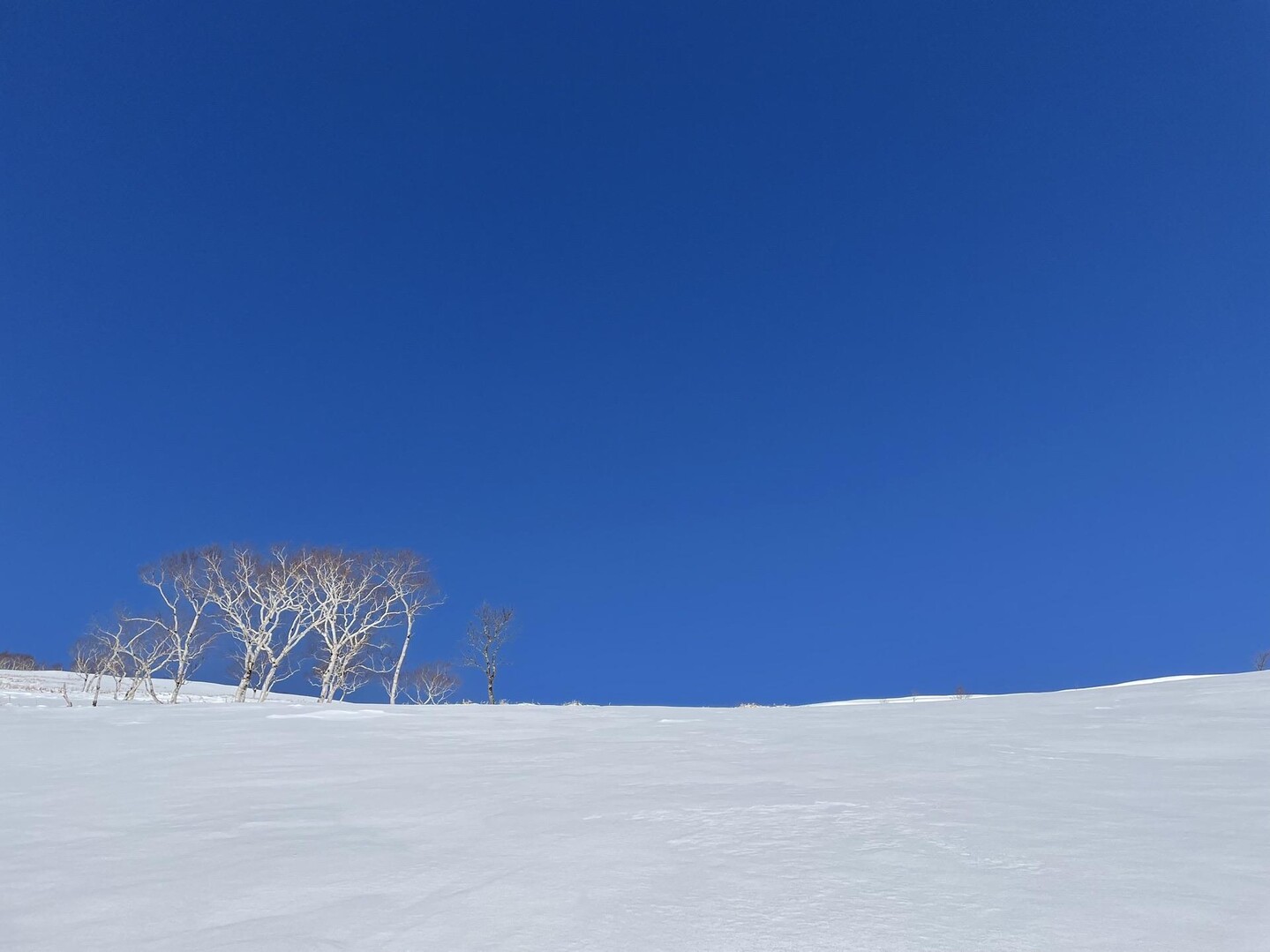 リスケ山winter version🏔 / ＠sasekamoさんの摩周岳（カムイヌプリ）・西別岳・摩周湖の活動データ | YAMAP / ヤマップ