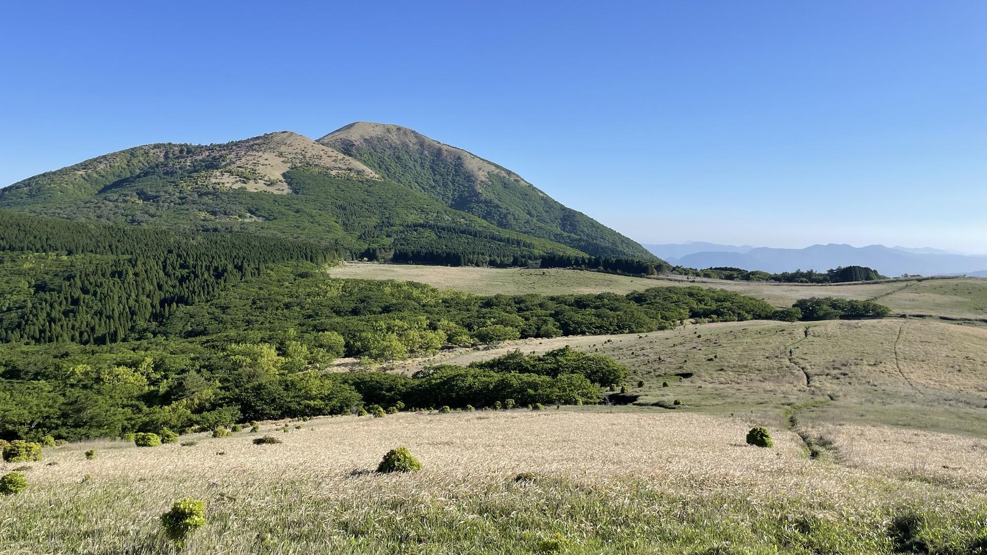 ミヤマキリシマの旅その③ 涌蓋山（わいたさん）2025.6.5 / riwonさんの涌蓋山・猟師山の活動データ | YAMAP / ヤマップ