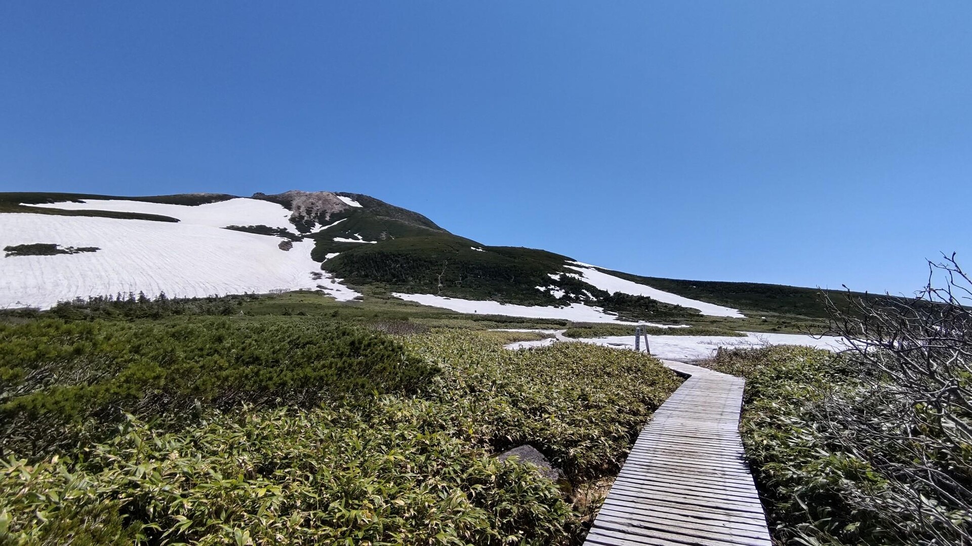 眩い白山 / sakuraromeoさんの白山・別山・銚子ヶ峰の活動日記 | YAMAP / ヤマップ