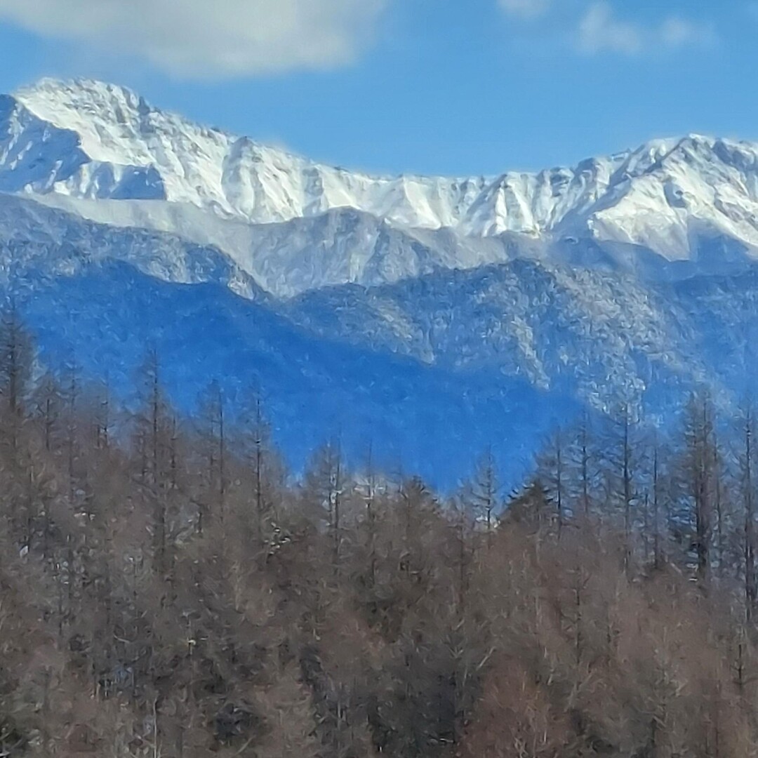 戸倉山（西峰）・戸倉山（伊那富士） / もりもり山さんの戸倉山（伊那富士）の活動日記 | YAMAP / ヤマップ
