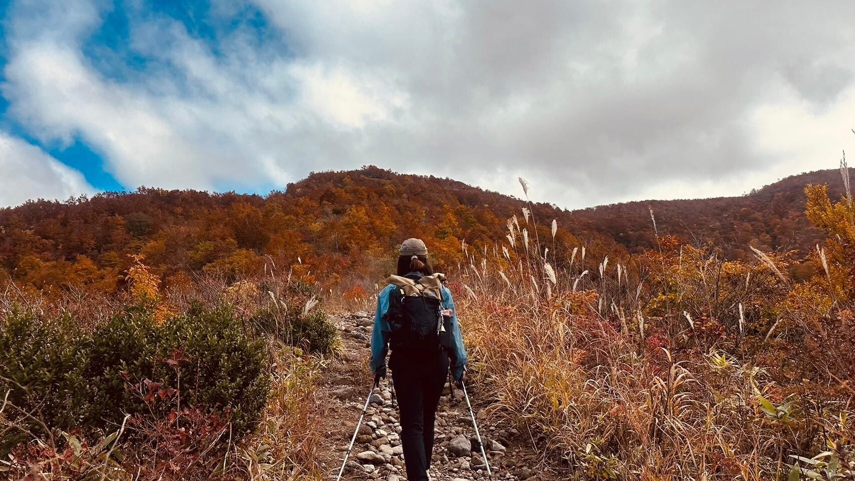 🍁ぐるっと取立山🍁 / kana🐥さんの取立山の活動日記 | YAMAP / ヤマップ