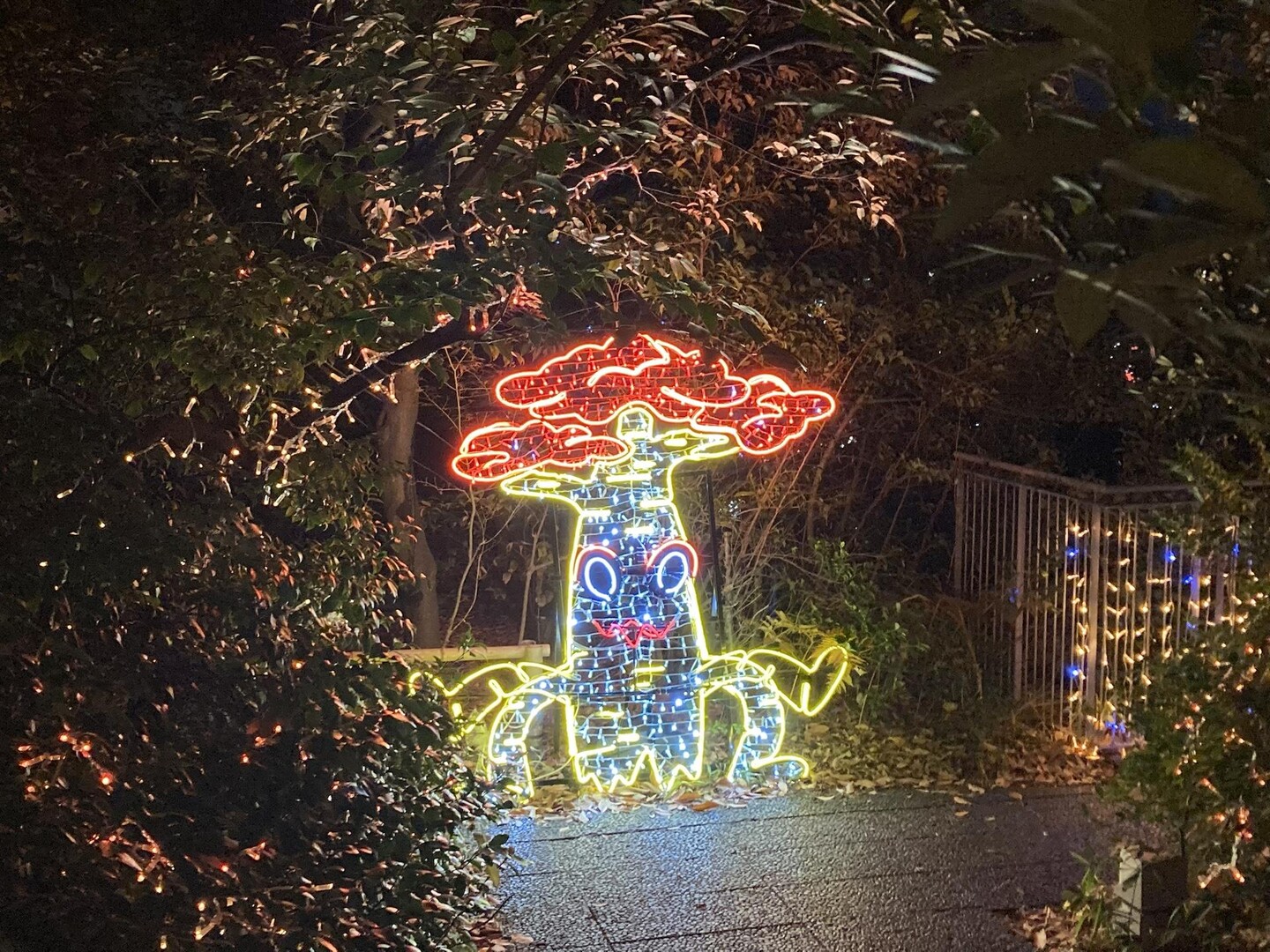 アクロス山 / Moppetさんのアクロス山の活動データ | YAMAP / ヤマップ