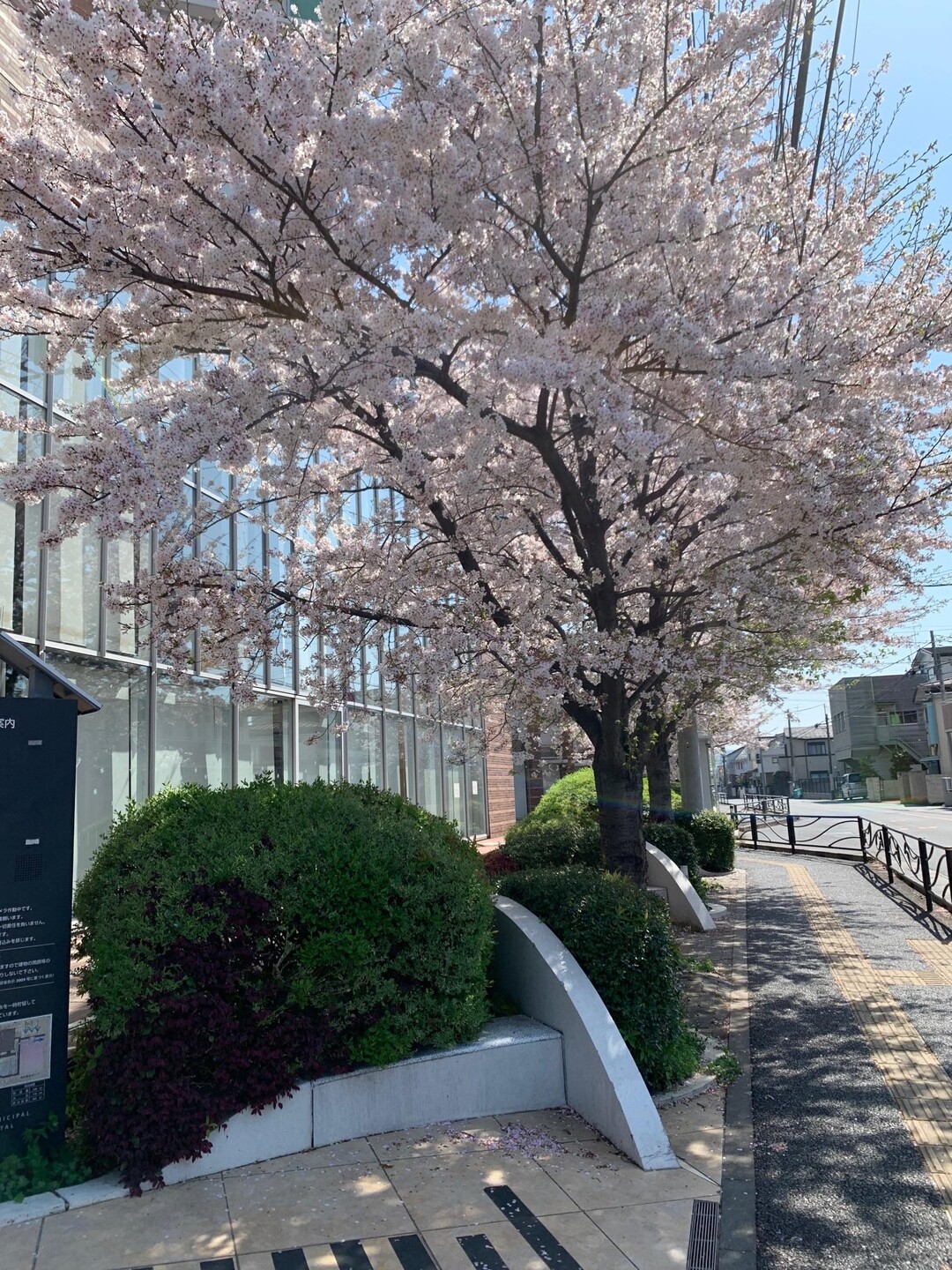 ロングウォーク20k 井田山・加瀬山・権現山 / nonnonさんの横浜市 北エリアの活動データ | YAMAP / ヤマップ