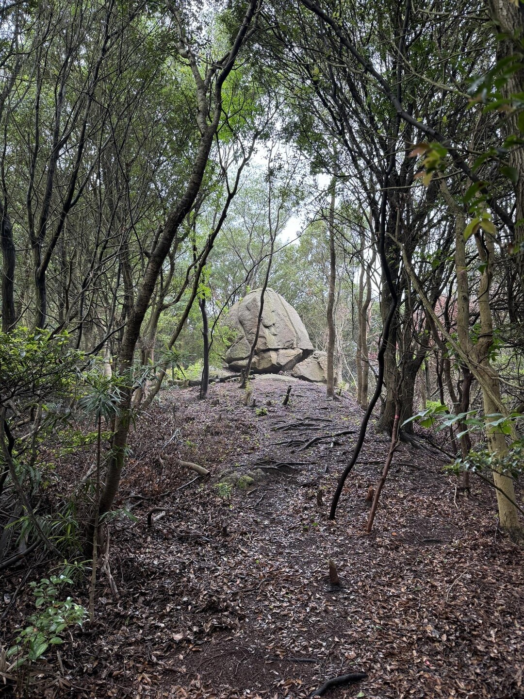 面白い岩の立石山😜へ / cozy284さんの荘内半島（三崎半島）・粟島の活動データ | YAMAP / ヤマップ