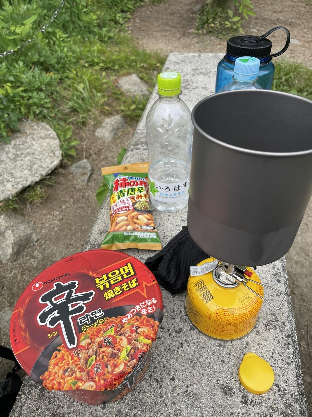 金剛山トレーニング / Yama-mo-ryさんの金剛山・二上山・大和葛城山の活動データ | YAMAP / ヤマップ