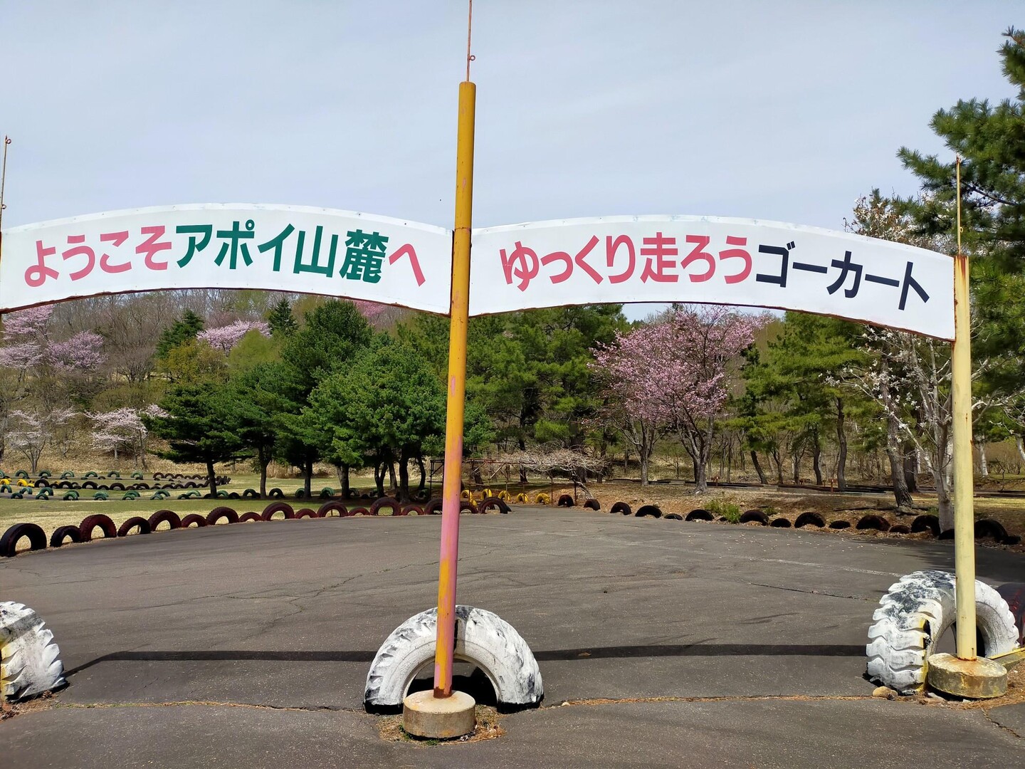 アペオイヌプリ＆吉田くん / REM84さんのアポイ岳の活動データ | YAMAP / ヤマップ