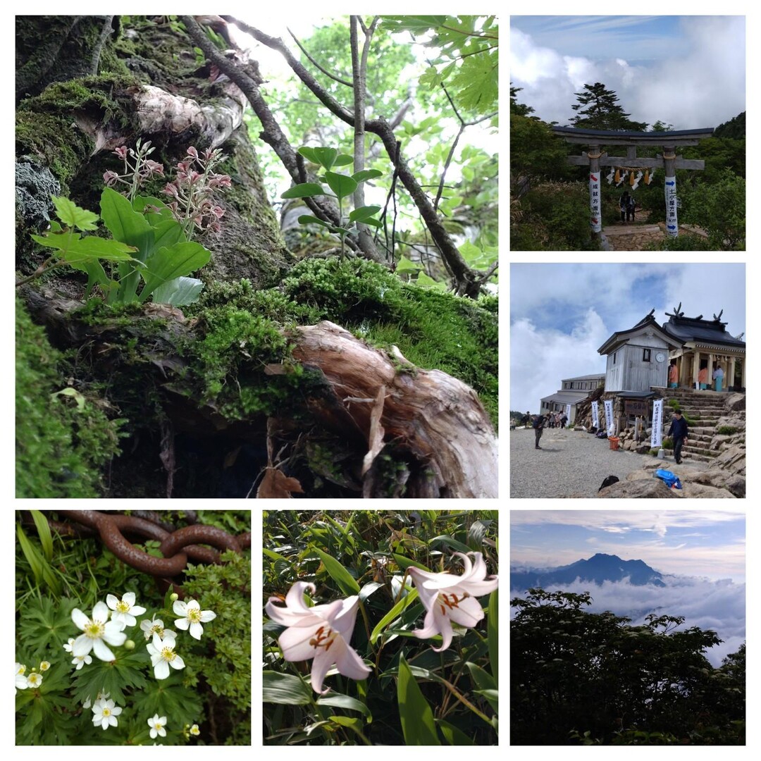 2023年7月石鎚山お山開き / yuiさんのモーメント | YAMAP / ヤマップ