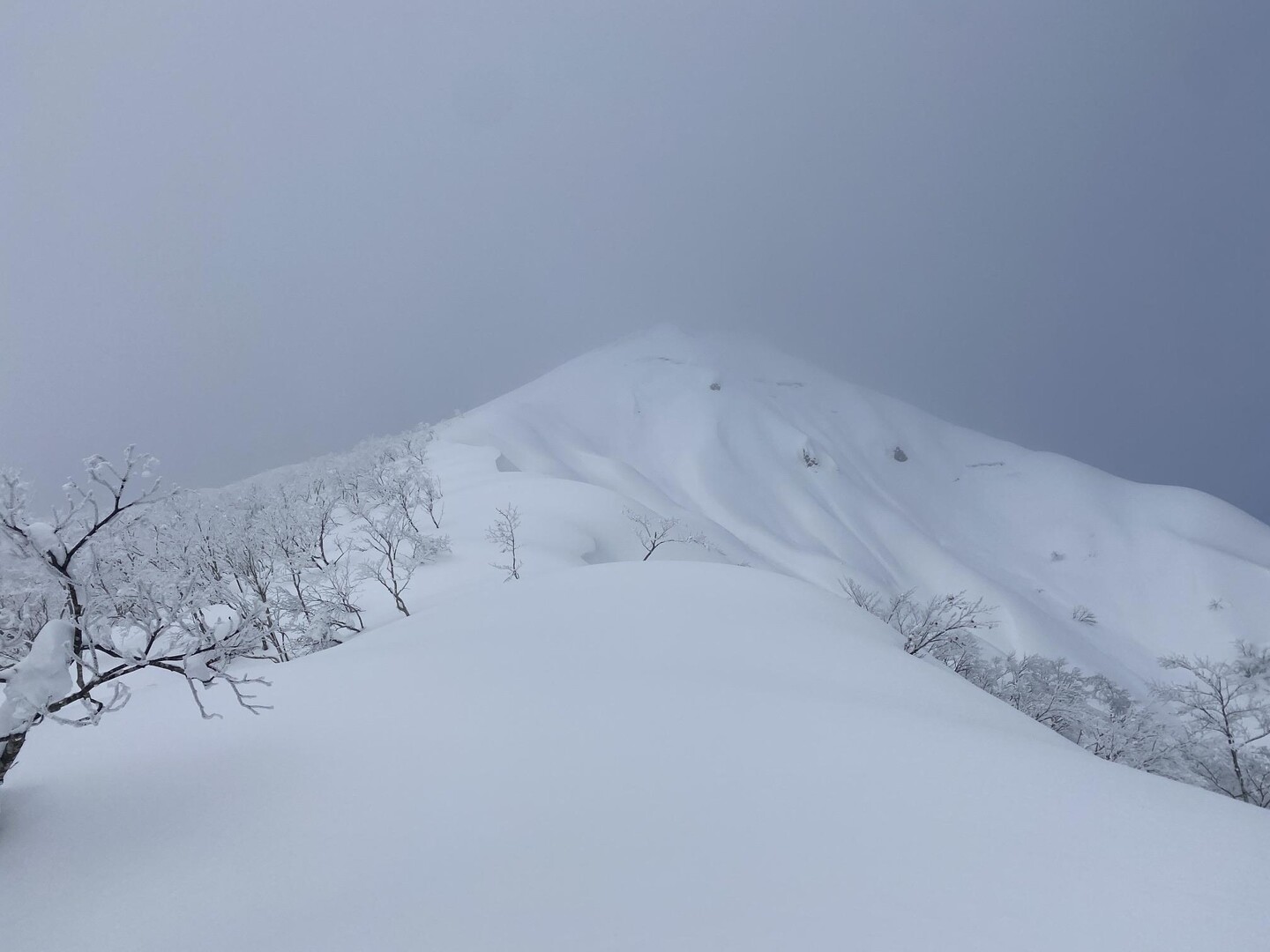 【白森山】登山納めと言う名の笑い納め😆 / R_MAXさんの船形山（御所山）・泉ヶ岳・蛇ヶ岳の活動データ | YAMAP / ヤマップ