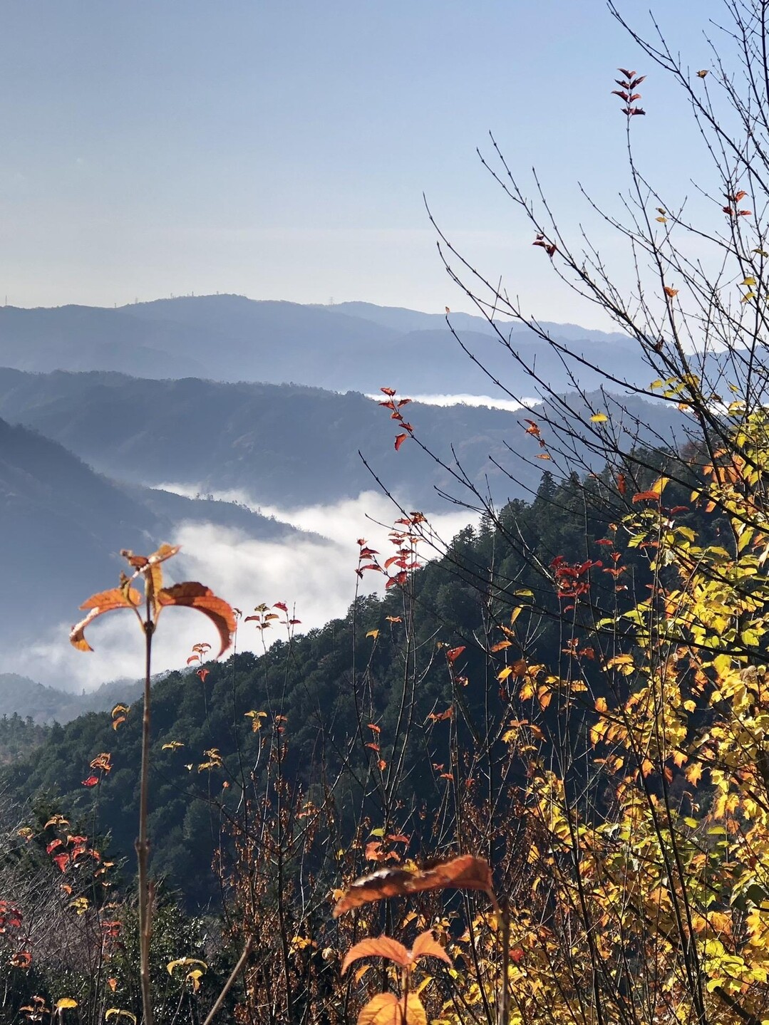 愛宕山 / ミキティさんの保津川（桂川）の活動データ | YAMAP / ヤマップ