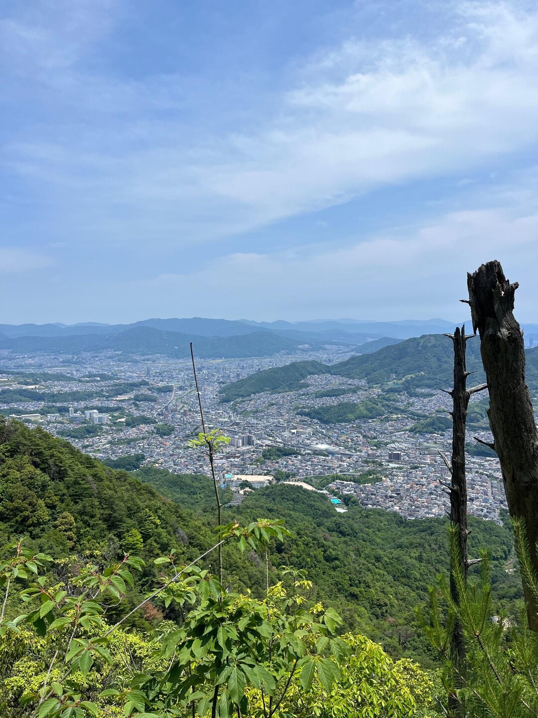 荒谷山（南峰）・荒谷山 / leoleonさんの荒谷山・岳山の活動データ | YAMAP / ヤマップ