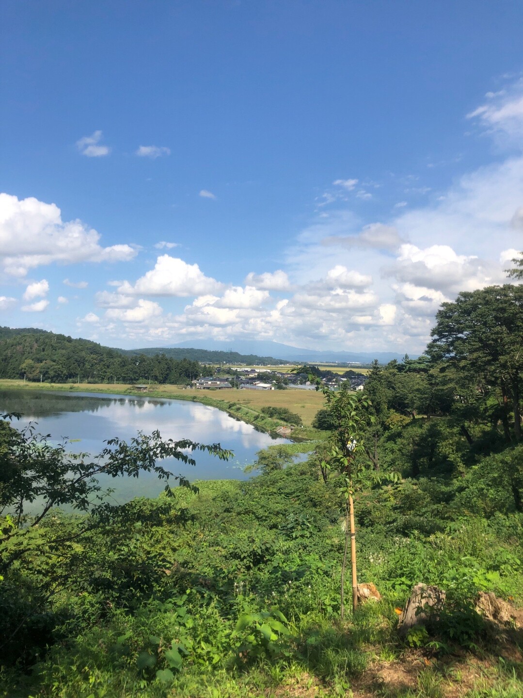 高館山麓の下池外周ウォーキング2020-09-21 / sugarさんの高館山・荒倉山の活動日記 | YAMAP / ヤマップ