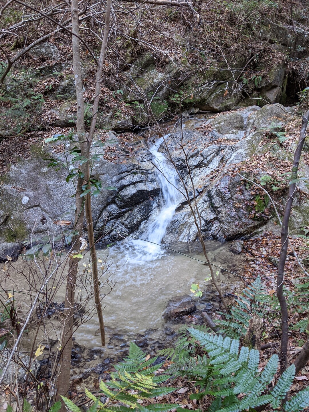 猿投山 / yasu1979さんの猿投山・物見山の活動データ | YAMAP / ヤマップ
