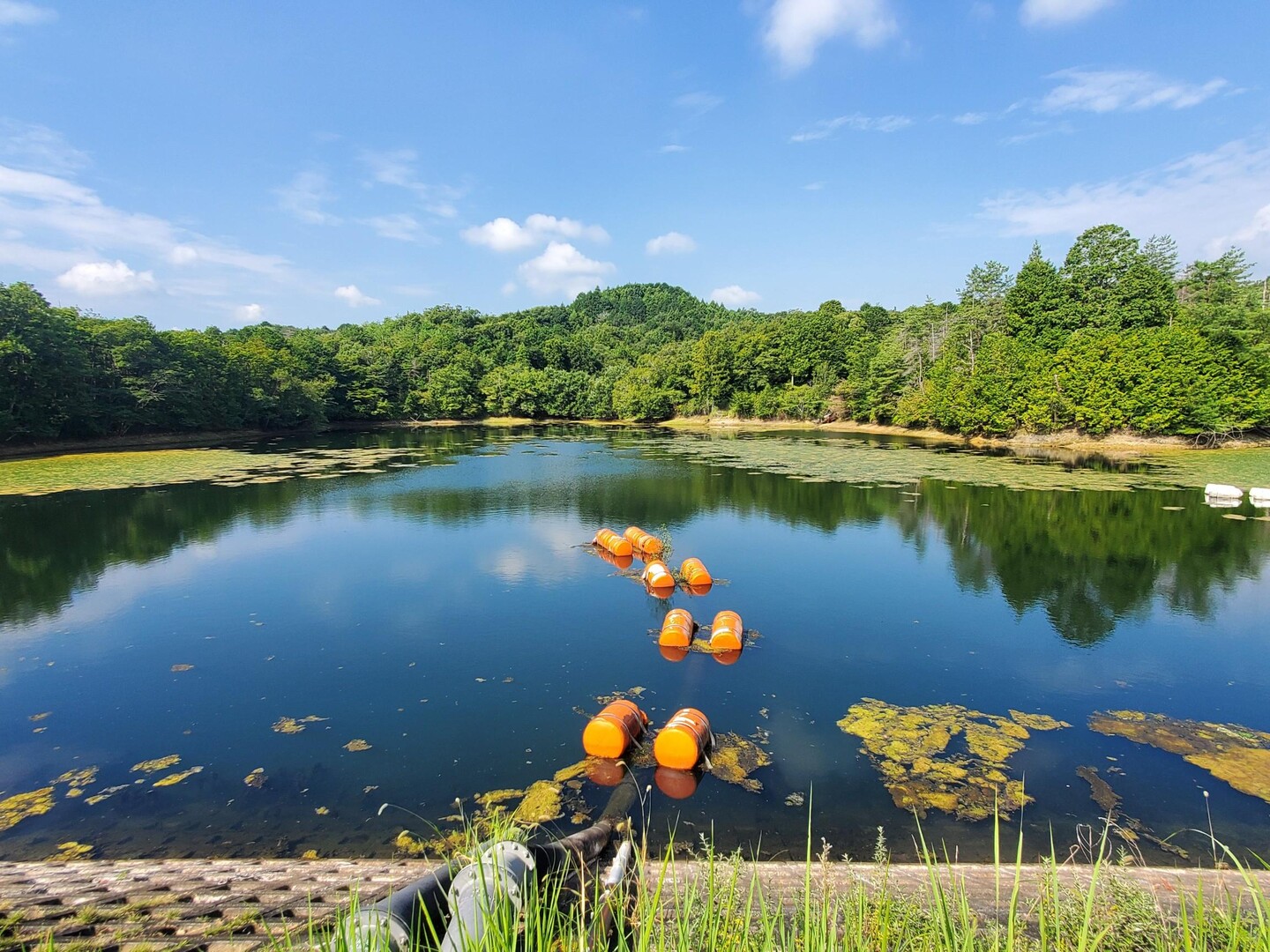 ひよどり城址266m / あまやんさんの烏岳の活動データ | YAMAP / ヤマップ