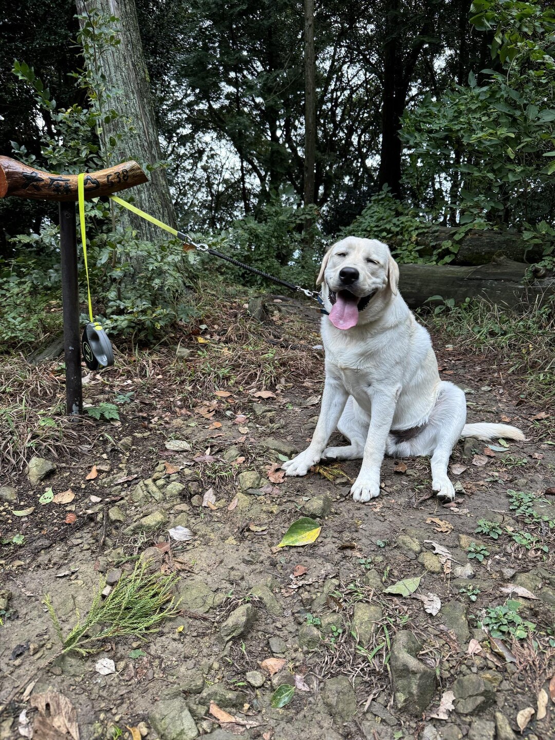 7回目の大麻山 / marukoさんの大麻山・天円山の活動データ | YAMAP / ヤマップ