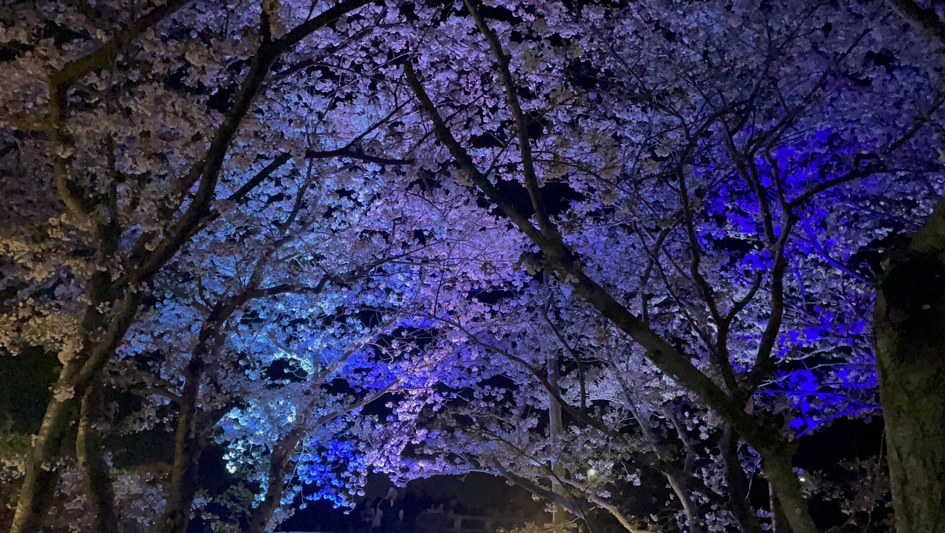 Part ️(*^^) ️ / 海月さんのモーメント | YAMAP / ヤマップ