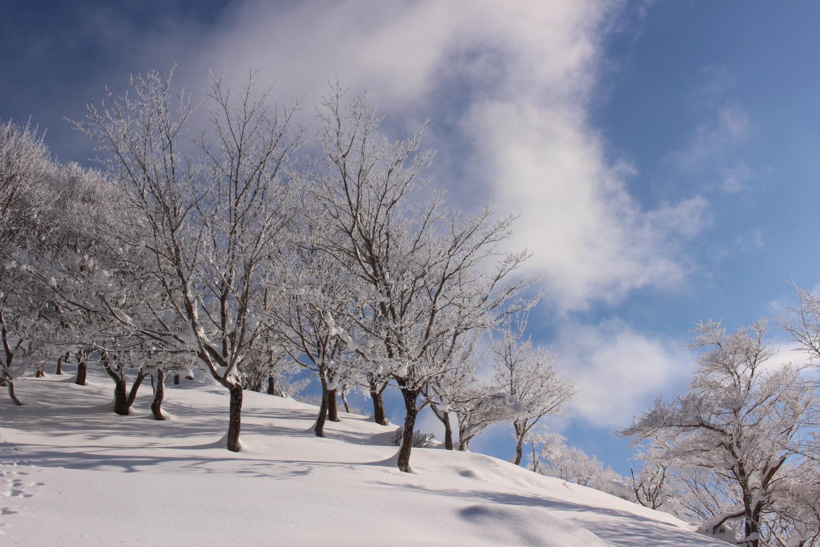 高室山・倉骨山で。ザラノは次回 / Mt.OKA🎃さんの高室山の活動データ | YAMAP / ヤマップ