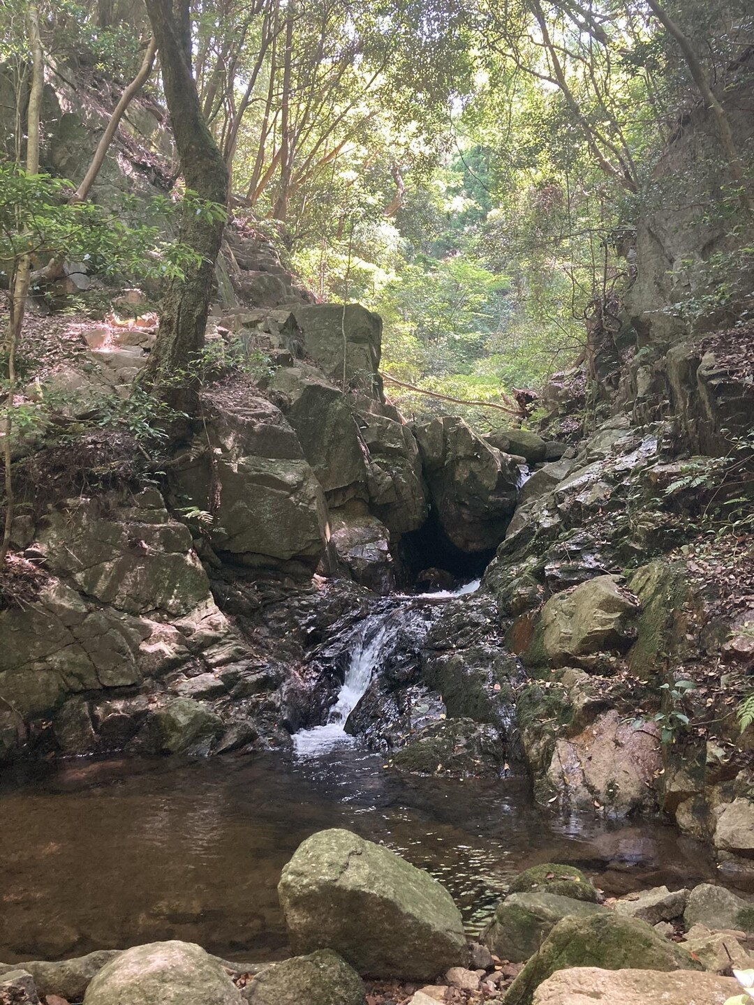 摩耶山 / maoさんの六甲山・長峰山・摩耶山の活動データ | YAMAP / ヤマップ