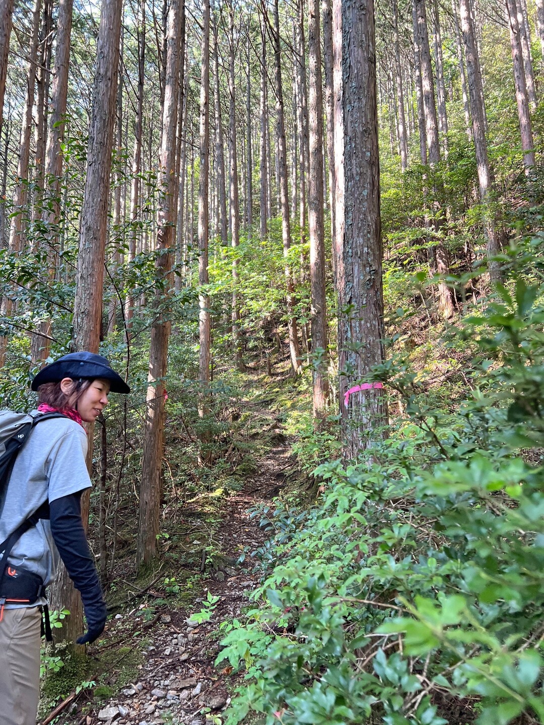 SACHIKO.さんの投稿したフィールドメモ | YAMAP / ヤマップ