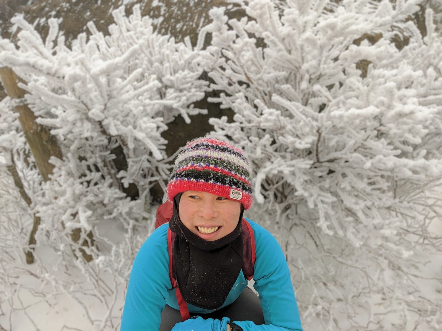 -17℃😱冷凍庫でテン泊 九重山（久住山）・大船山・星生山-2021-01-02 / Hiroko.oさんの九重山（久住山）・大船山・星生山の活動データ | YAMAP / ヤマップ