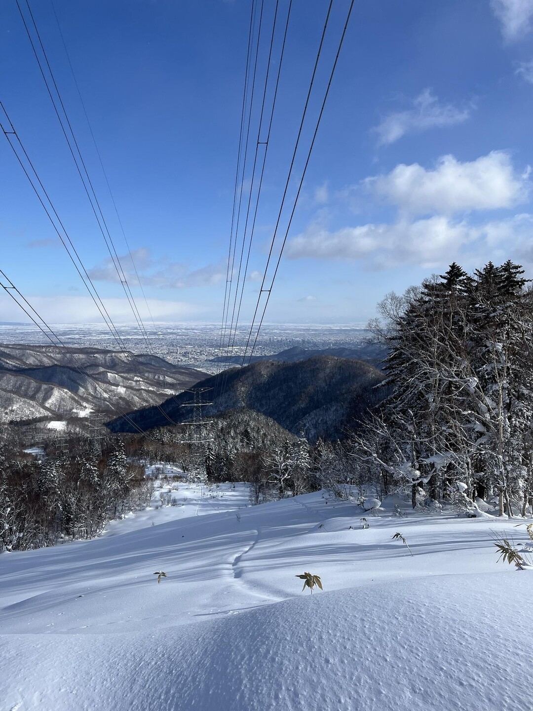 阿部山・峯越山 / kumiさんの手稲山・奥手稲山の活動日記 | YAMAP / ヤマップ