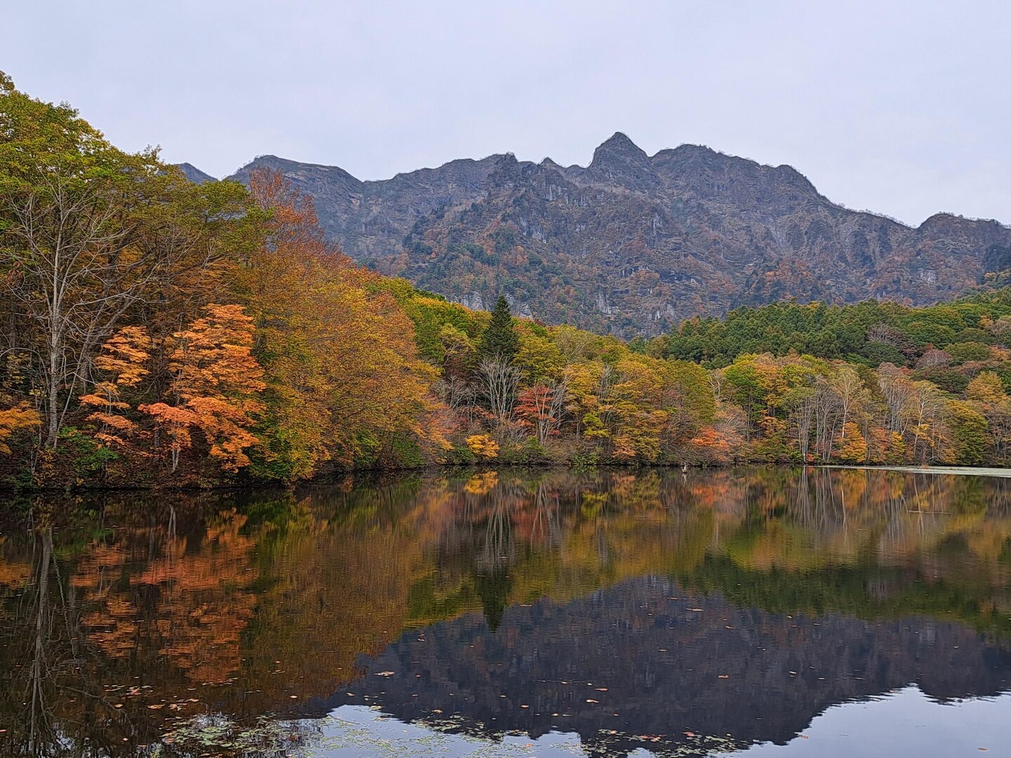 戸隠古道 池めぐり / rie.yさんの飯縄山の活動データ | YAMAP / ヤマップ