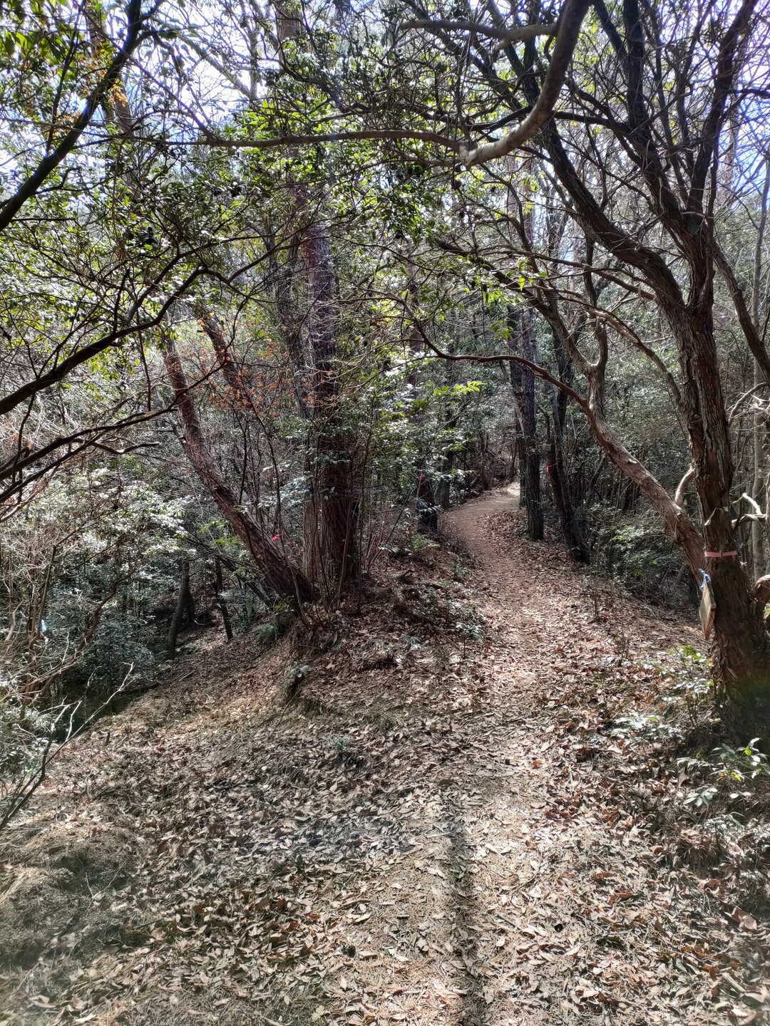 jiyoさんの投稿したフィールドメモ | YAMAP / ヤマップ