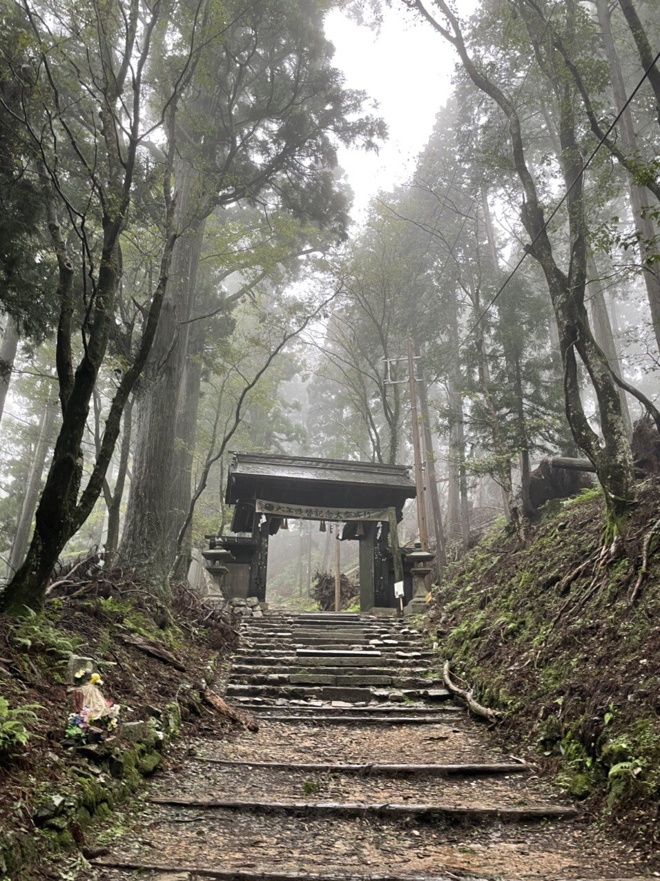 雨の愛宕山へGO‼️ / ryosui_ さんの愛宕山・三頭山・朝日峯の活動データ | YAMAP / ヤマップ