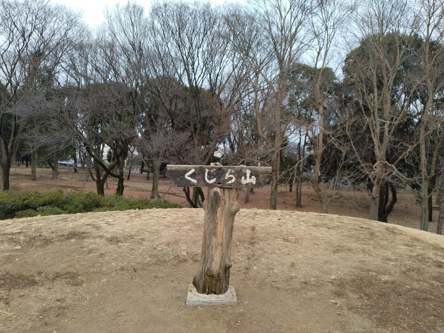 くじら山(武蔵野公園) 20250119 / takekyoさんの府中市（東京都）の活動データ | YAMAP / ヤマップ